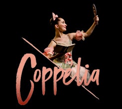 Events | Peace Center - Official Site